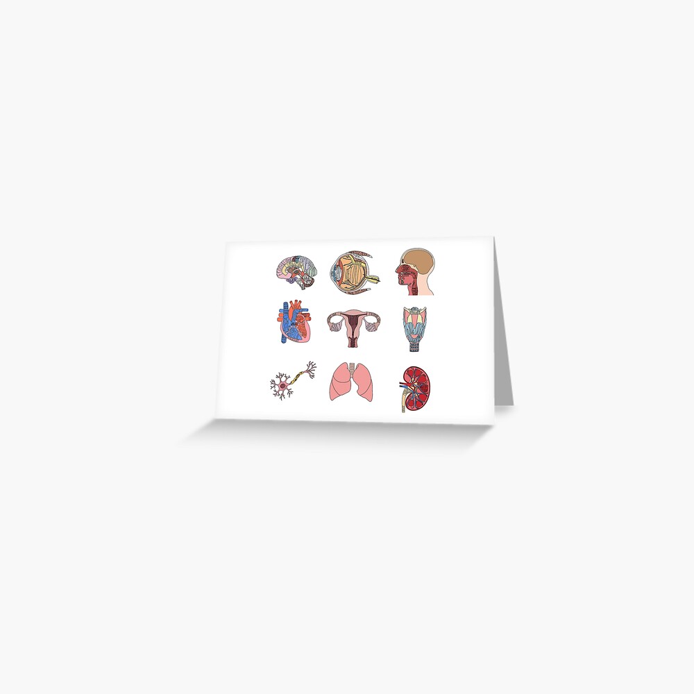 "Labeled Anatomy Organs Pack " Sticker for Sale by KatherineWinner ...