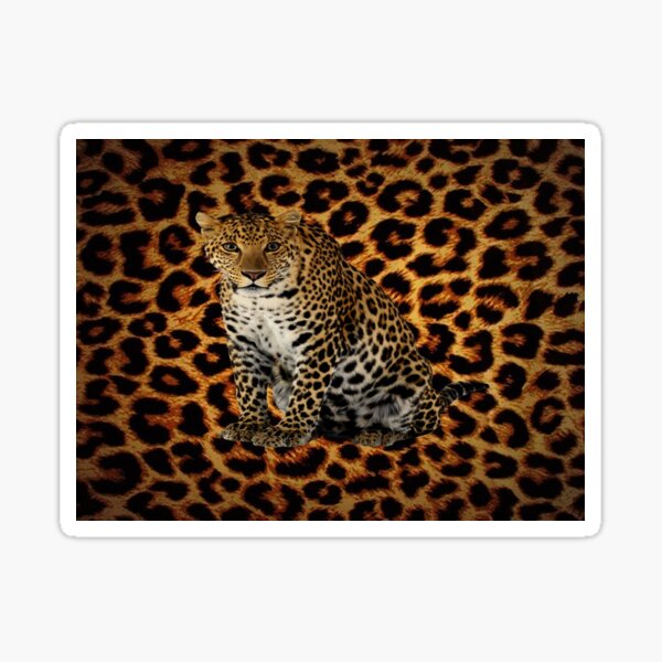 "Leopard" Sticker for Sale by custompro | Redbubble
