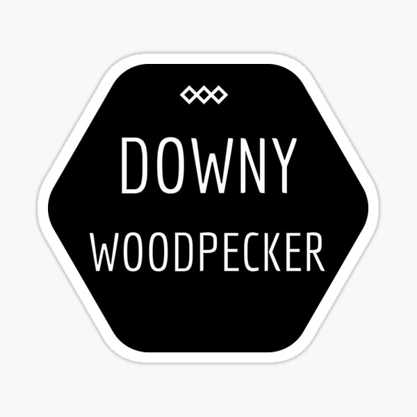 "DOWNY WOODPECKER BIRD" Sticker for Sale by djaber1998 | Redbubble