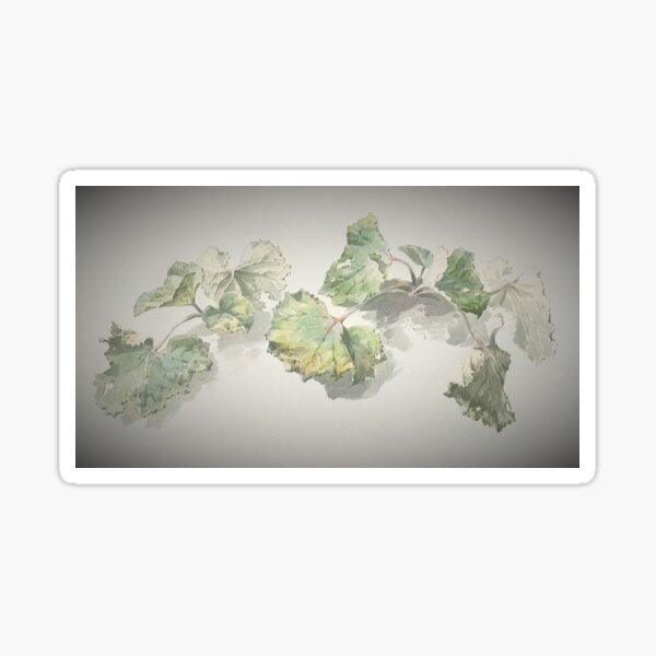 "Vignette Vines" Sticker for Sale by gypsylovesart | Redbubble