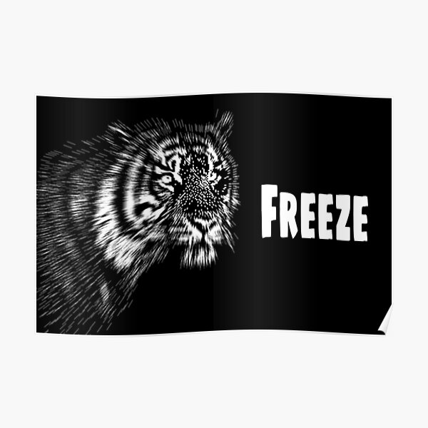 "Freeze" Poster for Sale by PlacidHinds | Redbubble