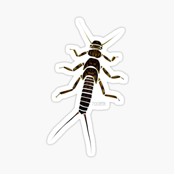 "Stonefly 2 - Color" Sticker for Sale by 700teeth | Redbubble