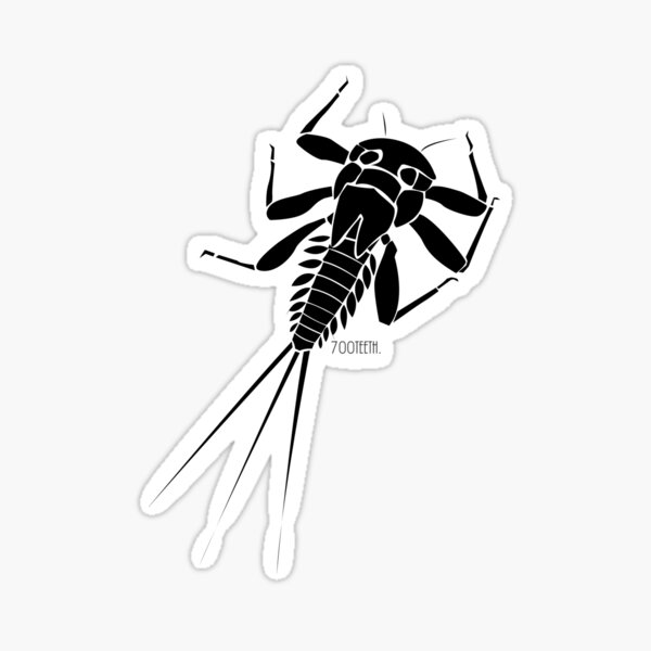 "Mayfly Heptagenia - Black" Sticker for Sale by 700teeth | Redbubble