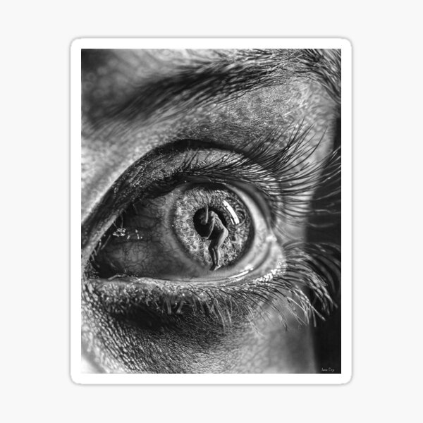 "Pencil eyes drawing" Sticker for Sale by JonoDryArt | Redbubble