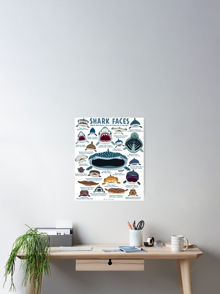 "Shark Faces Classic" Poster for Sale by torybarlow3491 | Redbubble