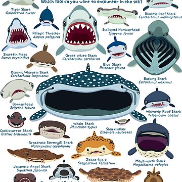 "Shark Faces Classic" Poster for Sale by torybarlow3491 | Redbubble