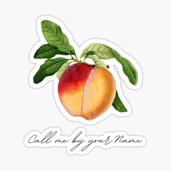 "Peach - Call me By Your Name" Sticker for Sale by MyPurpleGalaxy ...