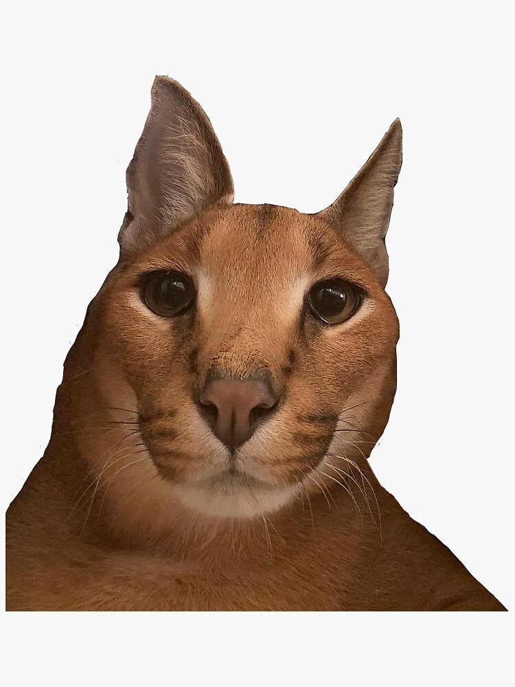 "Kimbo in closet-Big Floppa" Sticker for Sale by idlelon | Redbubble