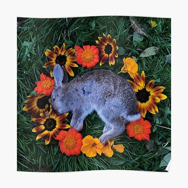 "Monolord Your Time To Shine" Poster for Sale by jose-quinn | Redbubble