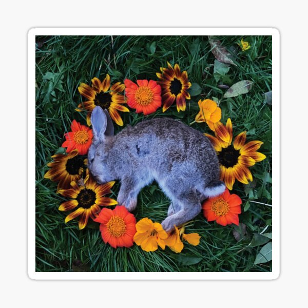 "Monolord Your Time To Shine" Sticker for Sale by jose-quinn | Redbubble