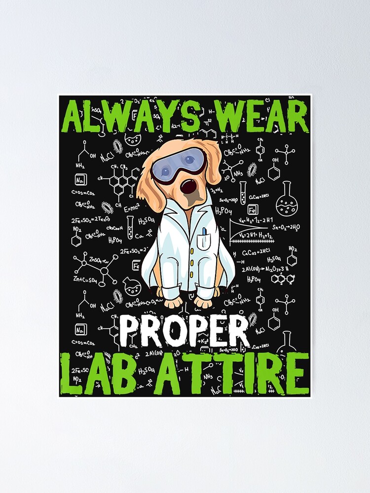 "Always Wear Proper Lab Attire Chemistry Experiment Labrador " Poster ...