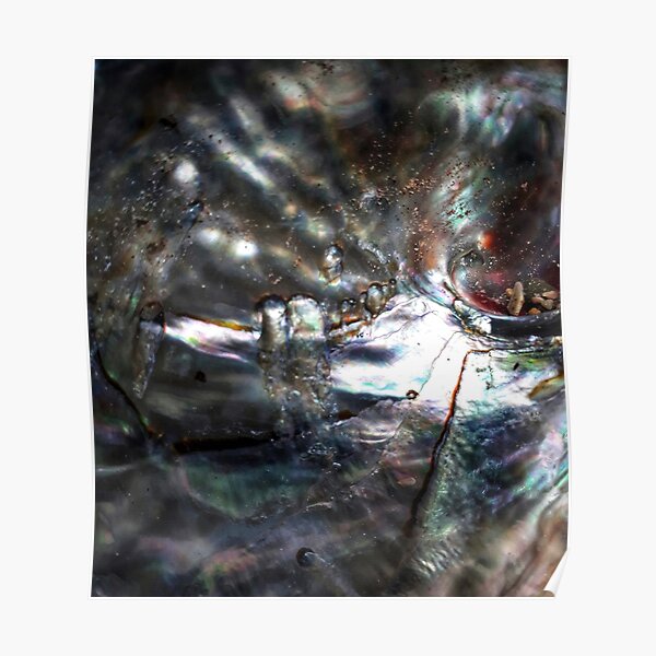 "Abalone Shell Art in Nature Ocean Fantasy Elephants Scary Ocean Bride ...