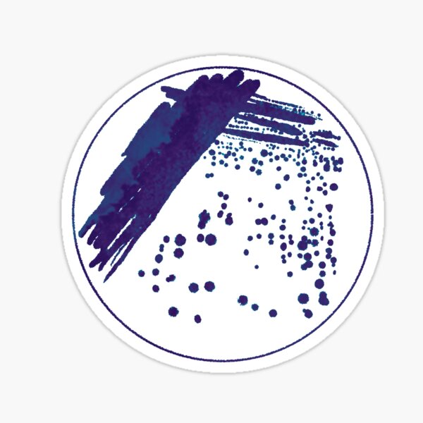 "Quadrant Streak Plate Microbiology" Sticker for Sale by mroghait ...