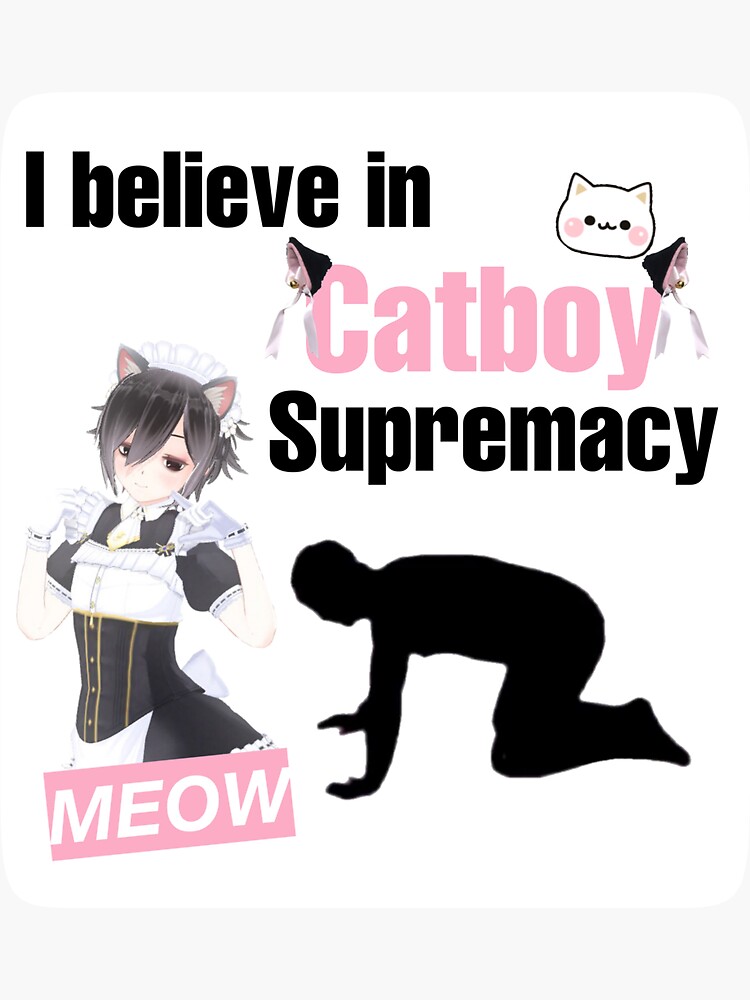 "Catboy Supremacy" Sticker by Cult-Classics | Redbubble