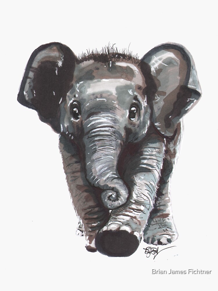 "Baby Asian Elephant" Sticker for Sale by BJFich | Redbubble