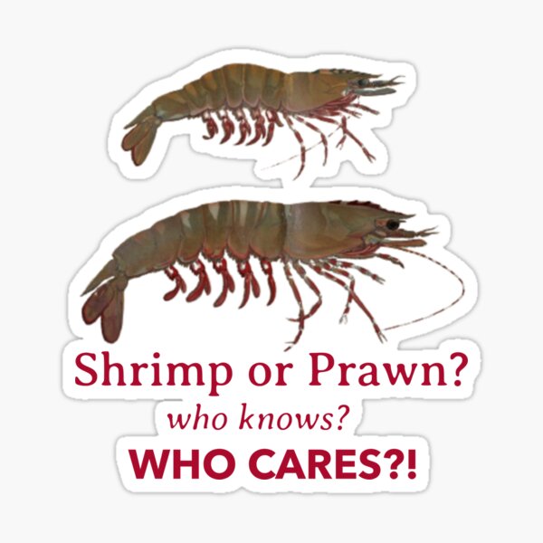 "Shrimp or Prawn? who knows? WHO CARES?!" Sticker for Sale by ...