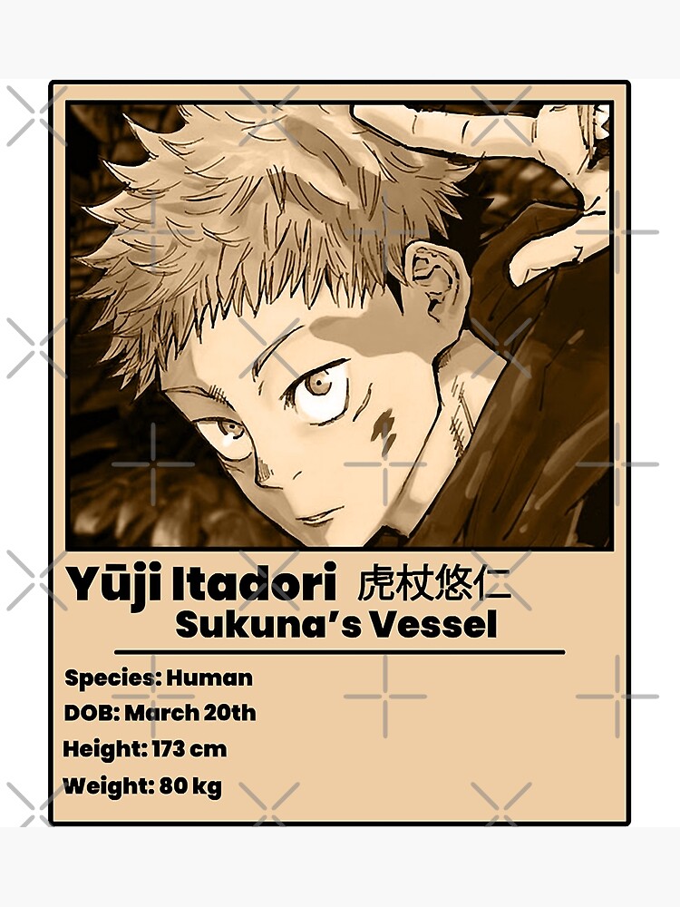 "Vintage Yuji art book cover" Poster for Sale by PalaciTerryRust ...