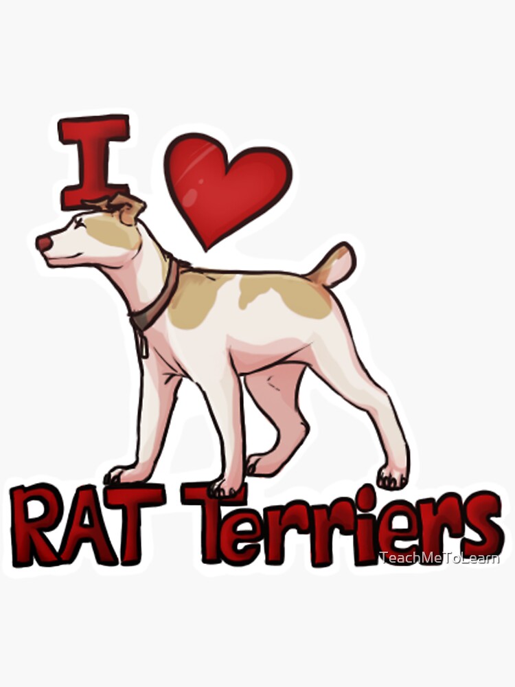 "I love Rat Terriers " Sticker by TeachMeToLearn | Redbubble