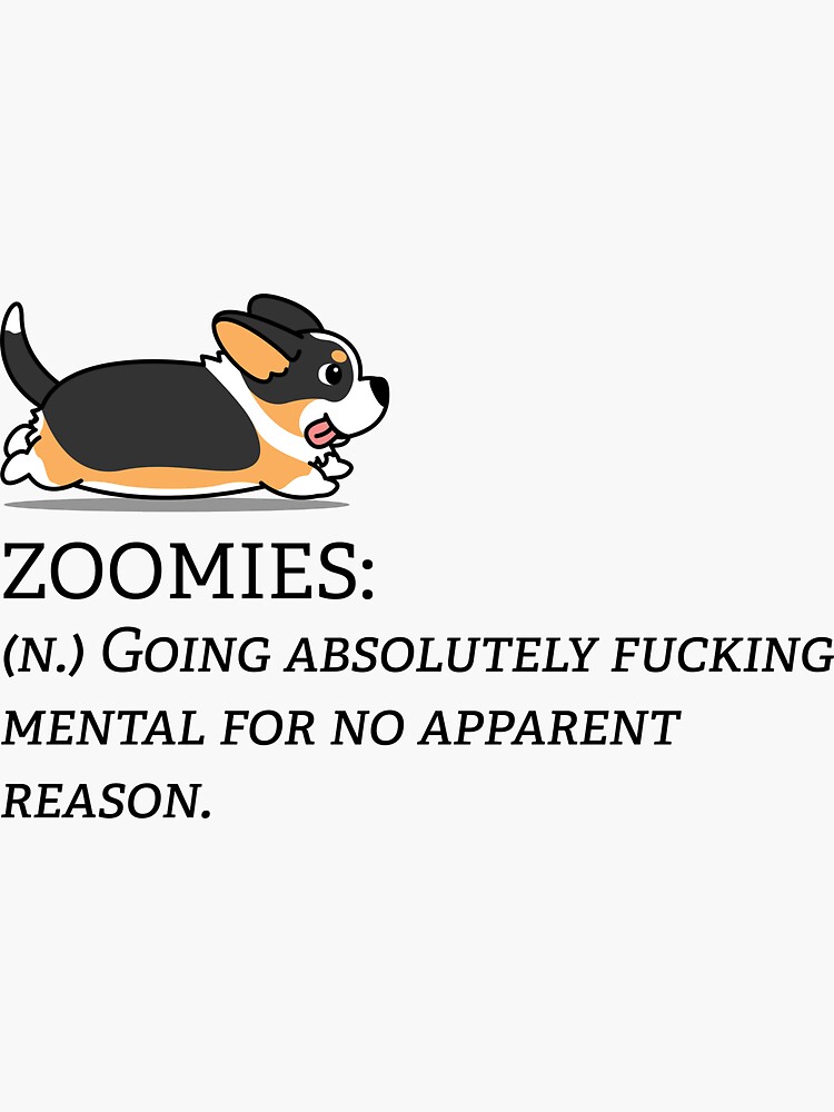 "Zoomies" Sticker for Sale by TeeShedCymru | Redbubble