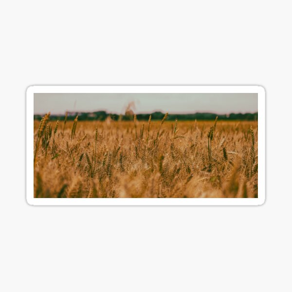 "Grain" Sticker for Sale by Rhiannon-P | Redbubble