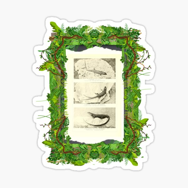 "Zoological board "Sand lizards"." Sticker for Sale by AdvanceDesign ...