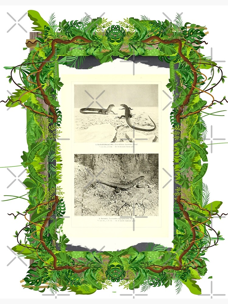"Zoological board "Crocodile tailed swan lizards"." Art Print by ...