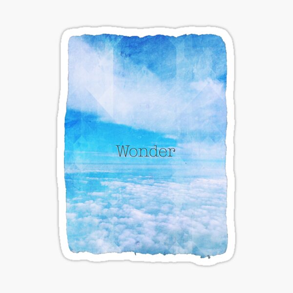 "Wonder" Sticker for Sale by butterslap97 | Redbubble