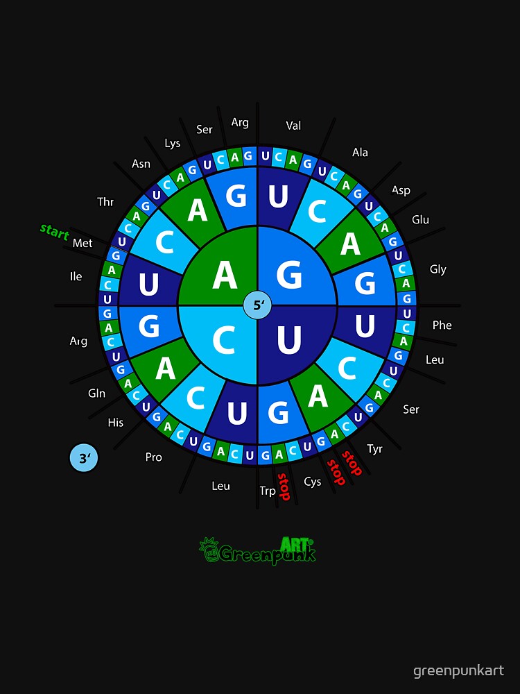"Amino Acid Codon Wheel" T-shirt for Sale by greenpunkart | Redbubble ...