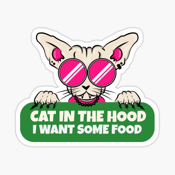 "Hooli-Cat" Sticker for Sale by RetroJet | Redbubble