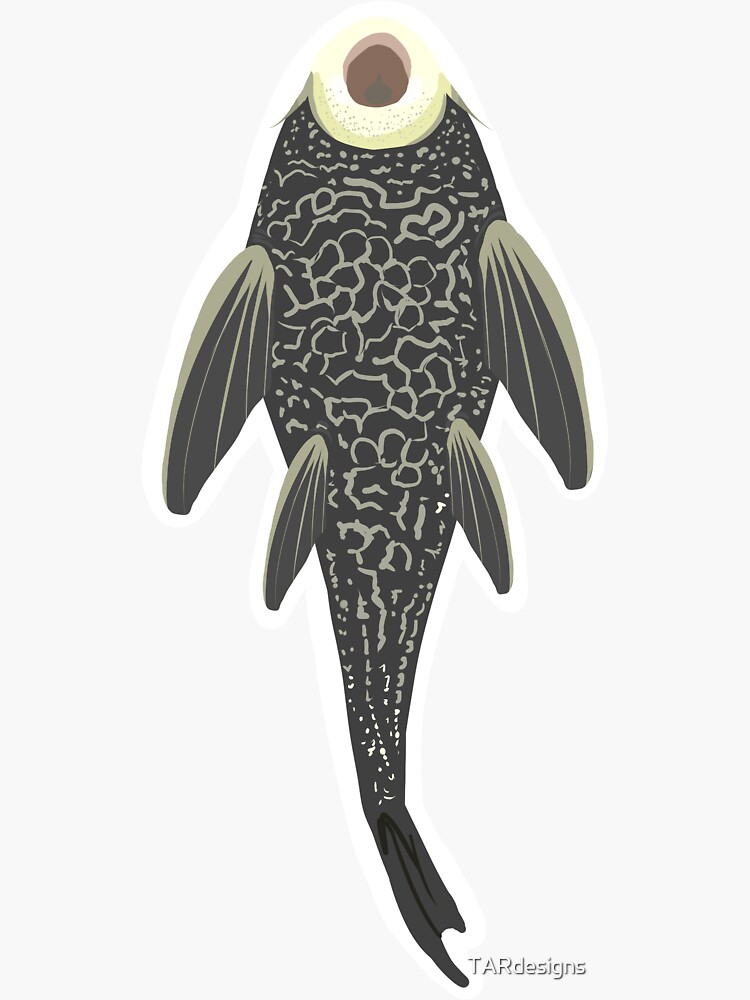 "Common pleco" Sticker for Sale by TARdesigns | Redbubble