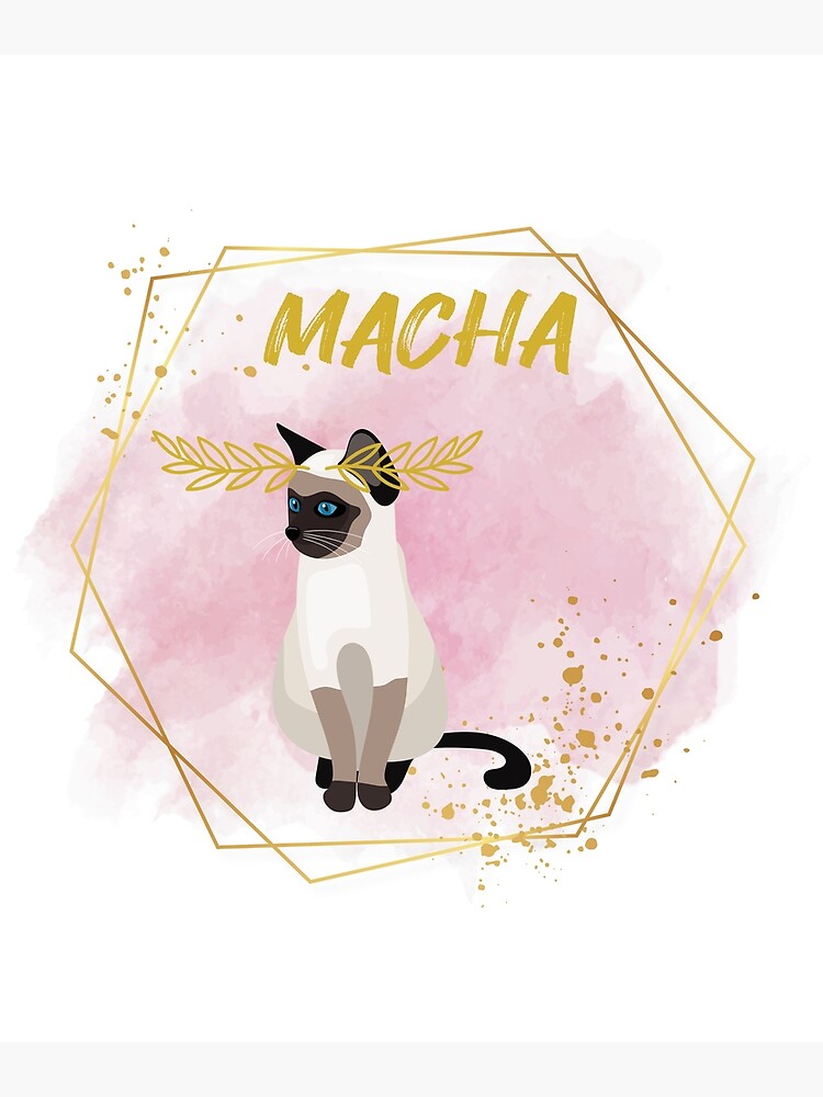 "MACHA cat design - Siamese cat - Thailand Siam cat - kitten - kitty ...
