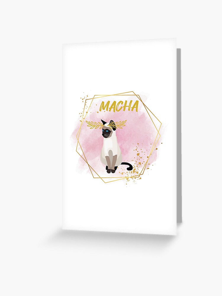 "MACHA cat design - Siamese cat - Thailand Siam cat - kitten - kitty ...