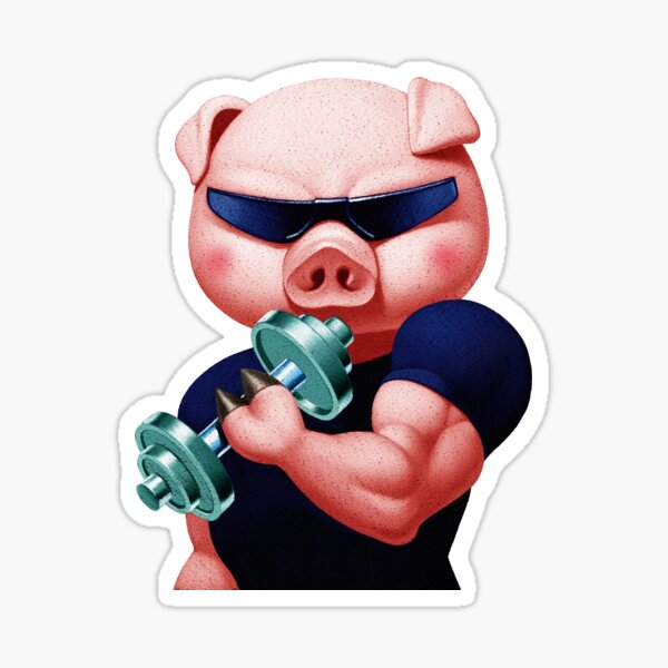 "Pigs Gym Sexy " Sticker for Sale by MusicSkateboard | Redbubble