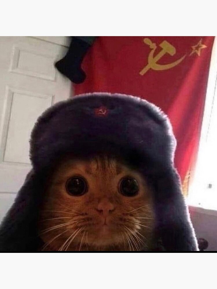 "Communist Cat" Sticker by LuccaT1 | Redbubble
