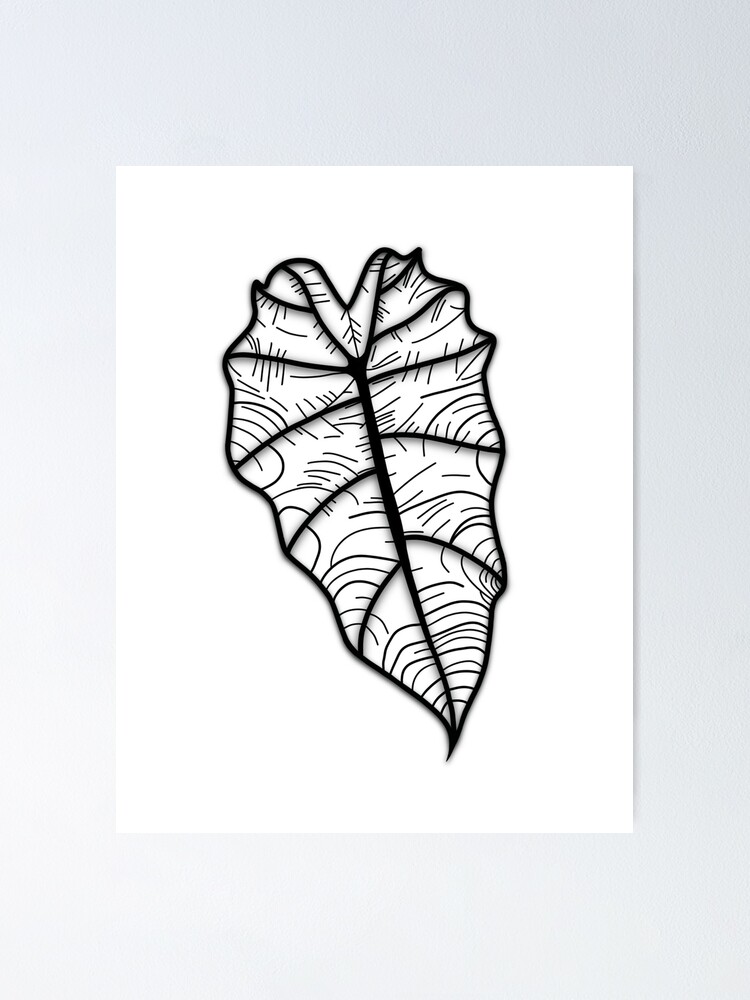 "Alocasia Houseplant Leaf Line Drawing" Poster for Sale by makesbymiss ...
