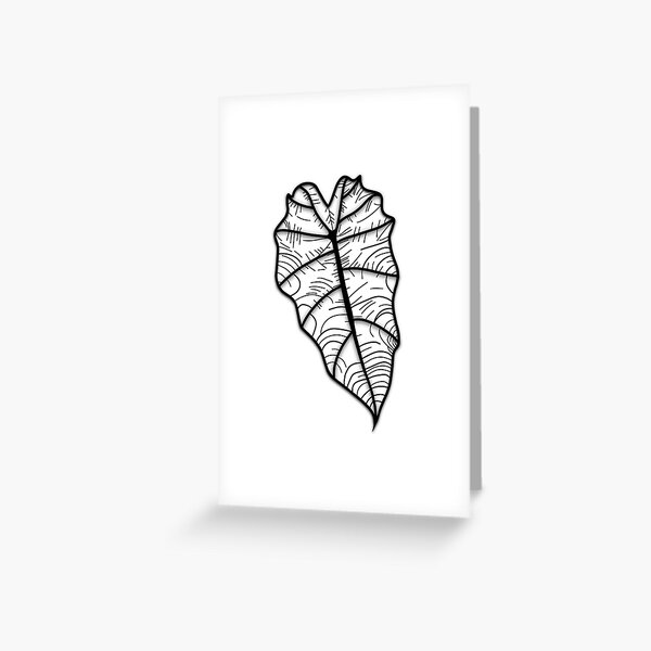 "Alocasia Houseplant Leaf Line Drawing" Greeting Card for Sale by ...