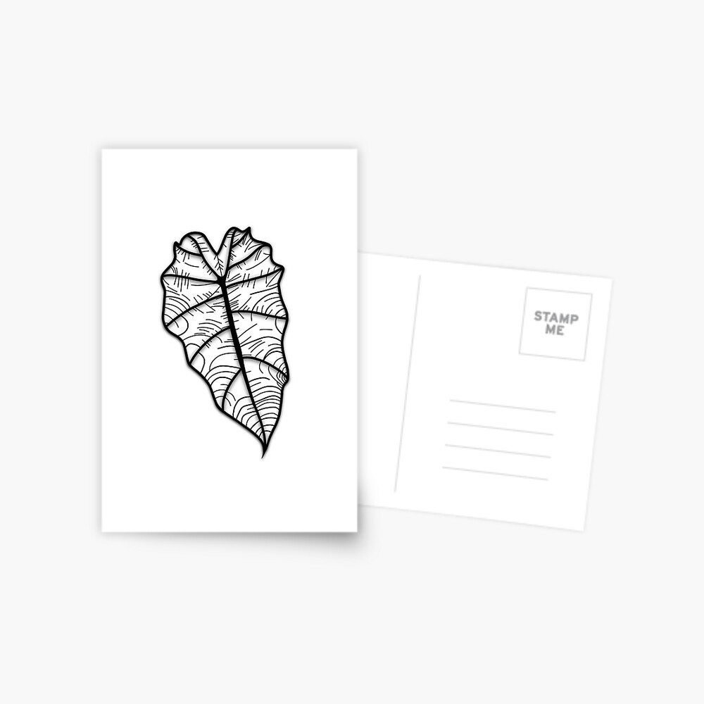 "Alocasia Houseplant Leaf Line Drawing" Sticker for Sale by makesbymiss ...