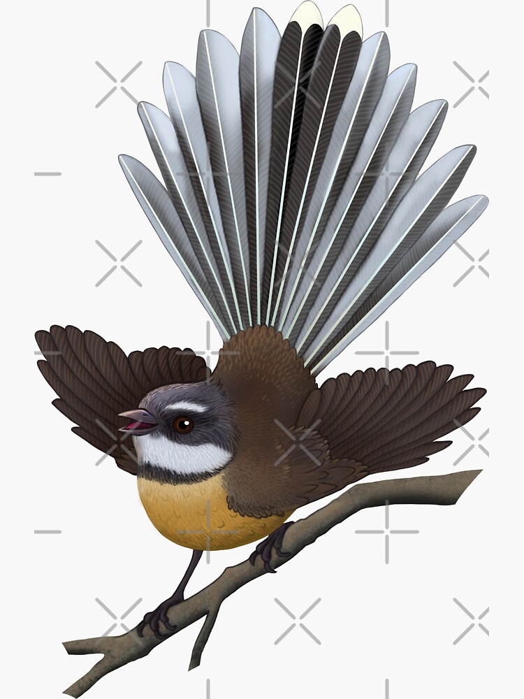 "Fantail Bird" Sticker for Sale by KereruBrewing | Redbubble