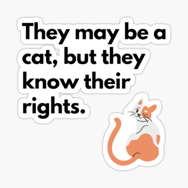 "Cat Rights! Pet Suffrage!" Sticker for Sale by babyleafshop | Redbubble