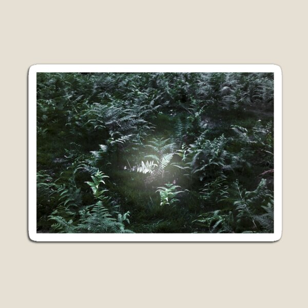 Nirnroot Gifts & Merchandise | Redbubble