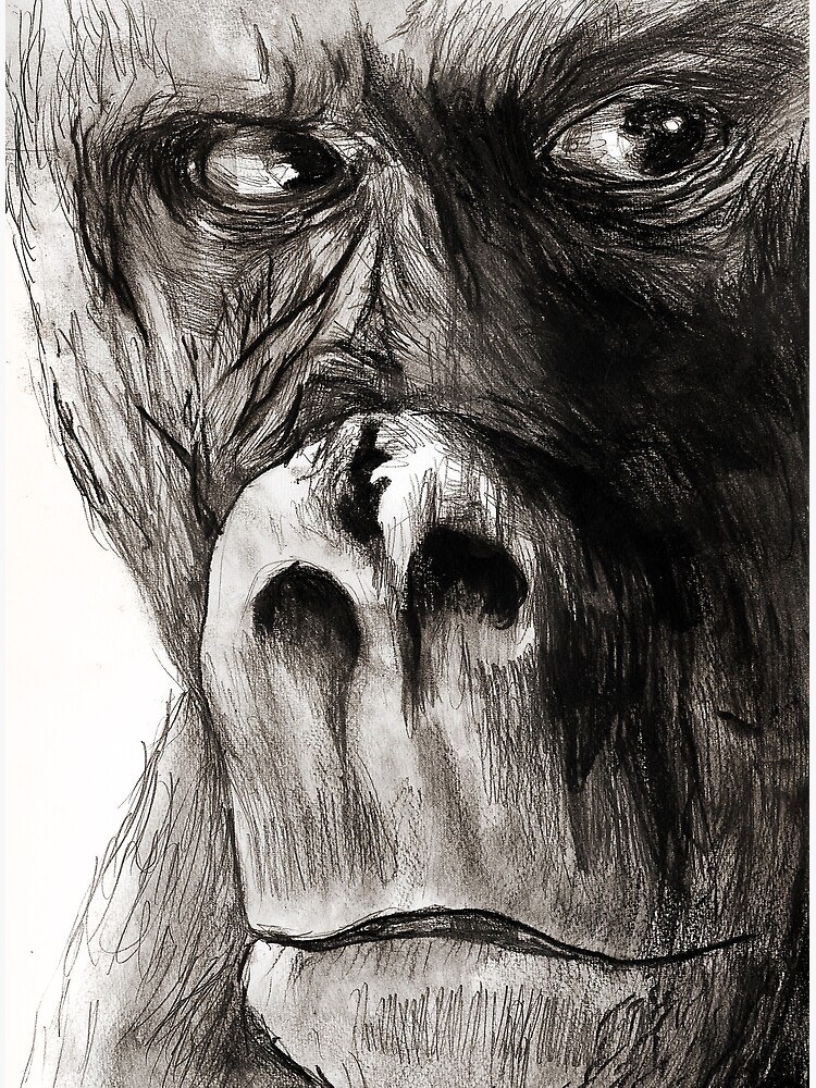 "Ape portrait, graphite drawing" Art Print by Lemomo-artworks | Redbubble