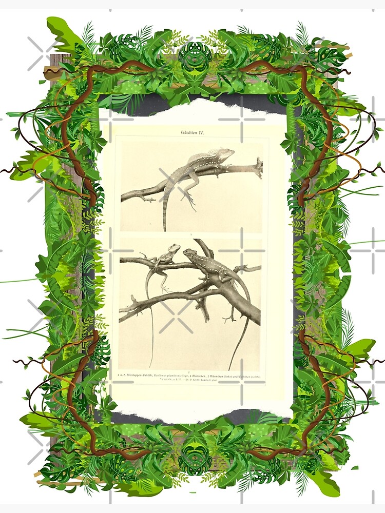 "Zoological board "Basilisk Lizards"." Poster for Sale by AdvanceDesign ...