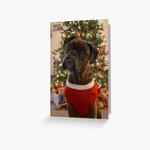Boxer Dog Greeting Cards | Redbubble
