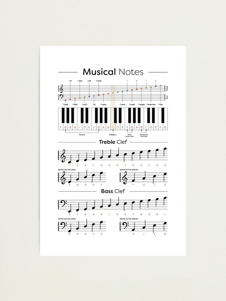 "Music Notes Cheat Sheet - Music Theory" Photographic Print for Sale by ...