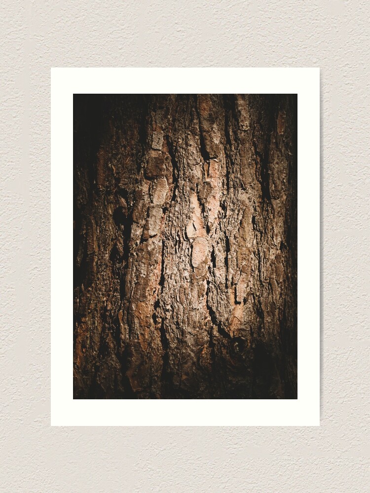 "Dark Wood Tree Texture" Art Print by PaulinaChmiel | Redbubble