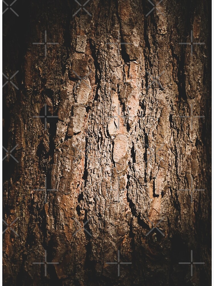 "Dark Wood Tree Texture" Art Print by PaulinaChmiel | Redbubble