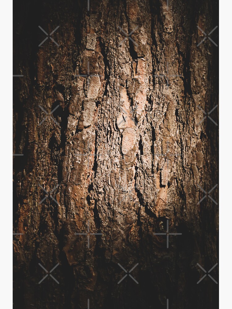 "Dark Wood Tree Texture" Sticker for Sale by PaulinaChmiel | Redbubble