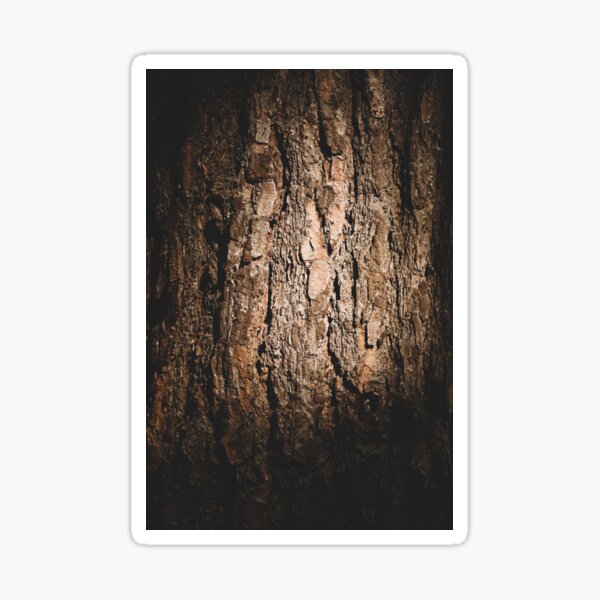 "Dark Wood Tree Texture" Sticker for Sale by PaulinaChmiel | Redbubble