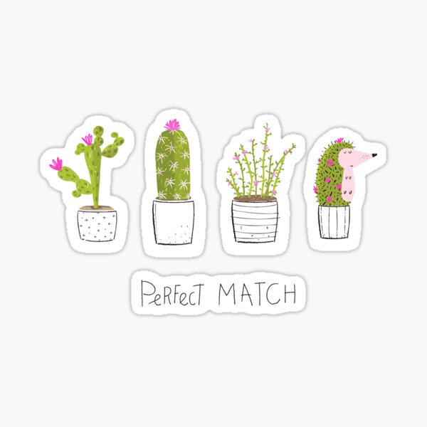 "CACTOS Hedgehogs Perfect match" Sticker for Sale by Emil1993 | Redbubble