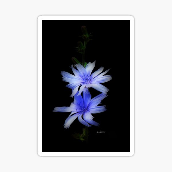 "Mood Indigo" Sticker by rsobiera | Redbubble